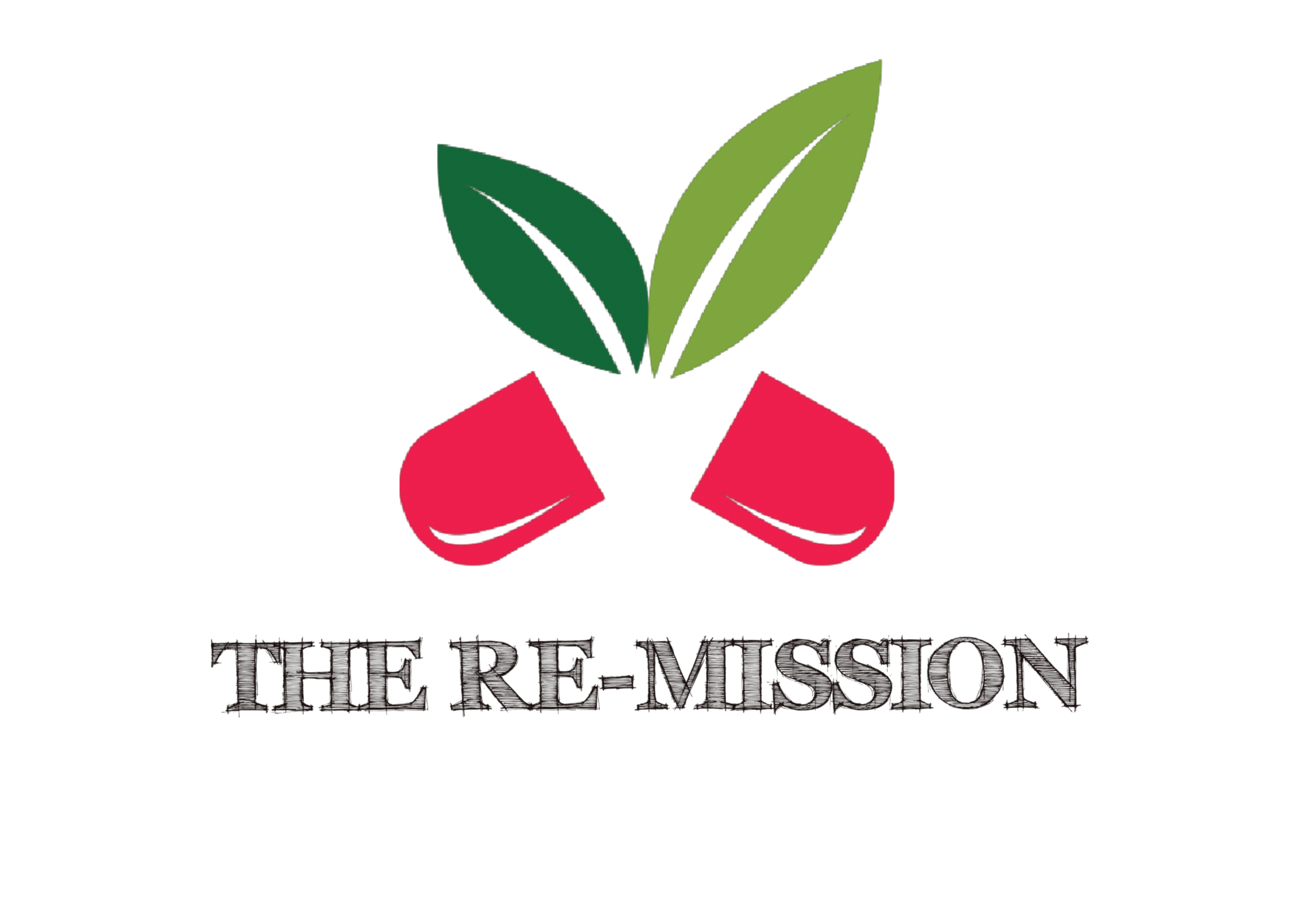 The Re-Mission